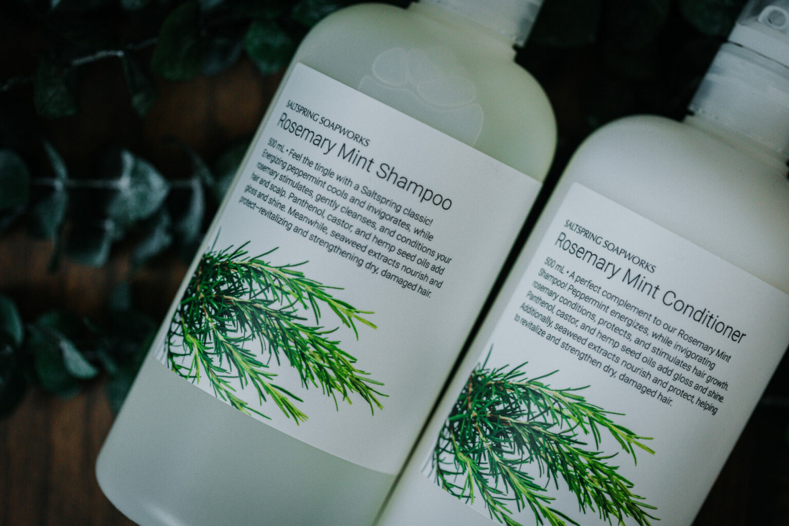 Label Design Trends in 2024 - Hickman Label Company